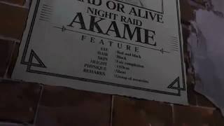 Akame ga Kill 1x19 Dublado Online - Aniture